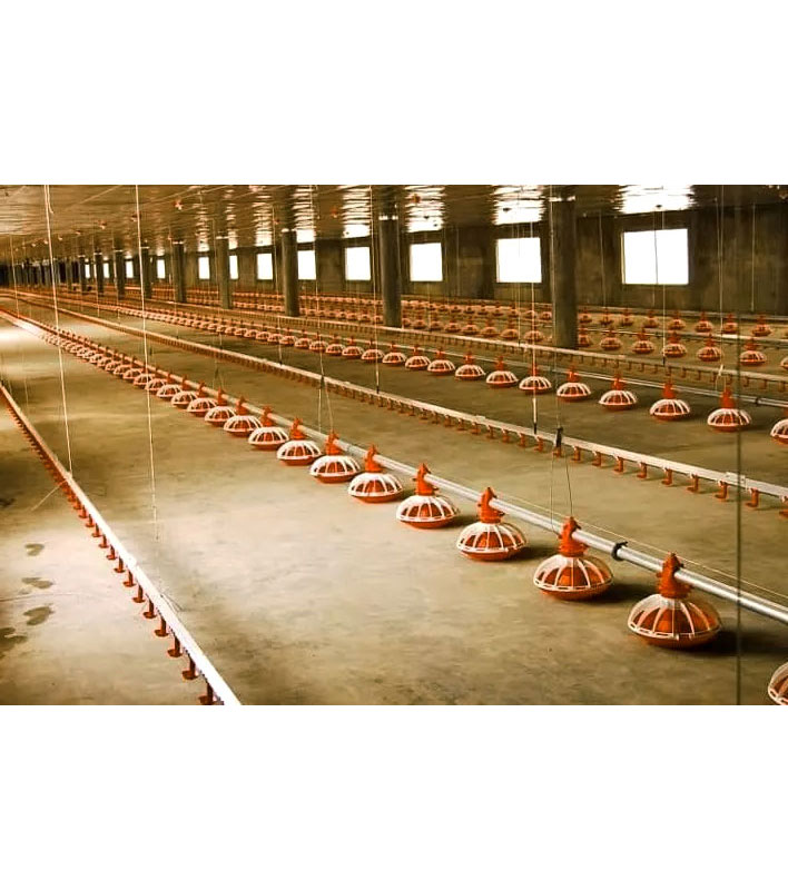 Chicken and Pig Nipple Drinker in Poultry Water Line System Factory